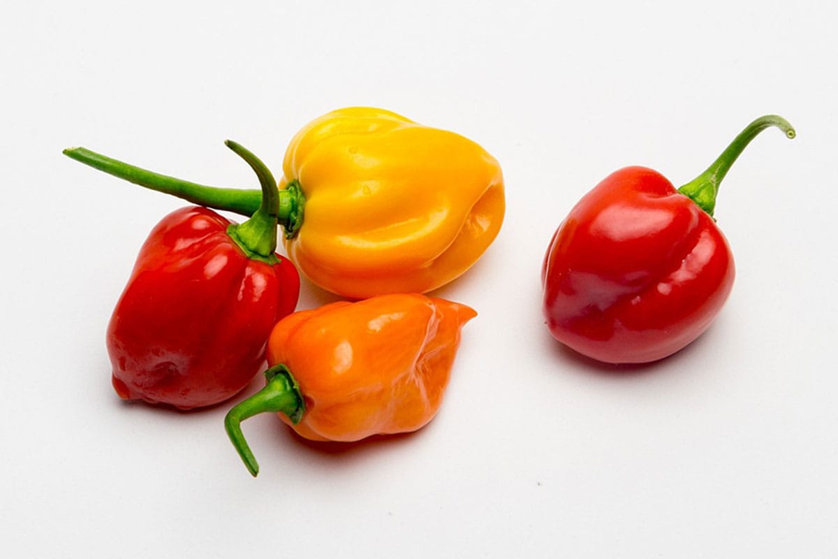 Ultimate Grilled Peppers Guide: Master the Art of Peppers Grilling